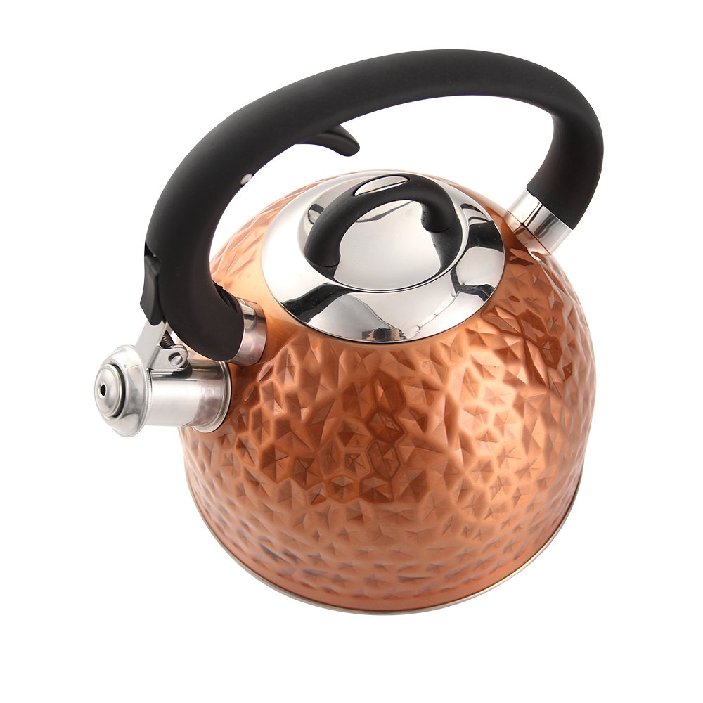 HAUS ROLAND Whistling Kettle 3.2Qt (3.0L) - Wayfair Canada