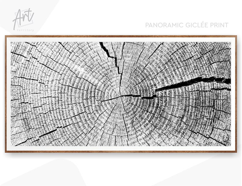 ART TERRITORY Extra Large Tree Ring Horizontal Poster, Canvas Wall Art ...