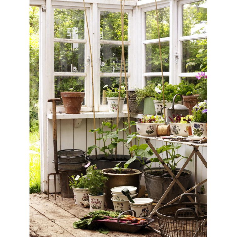 Portmeirion Botanic Garden Flower Pot & Reviews | Wayfair.co.uk