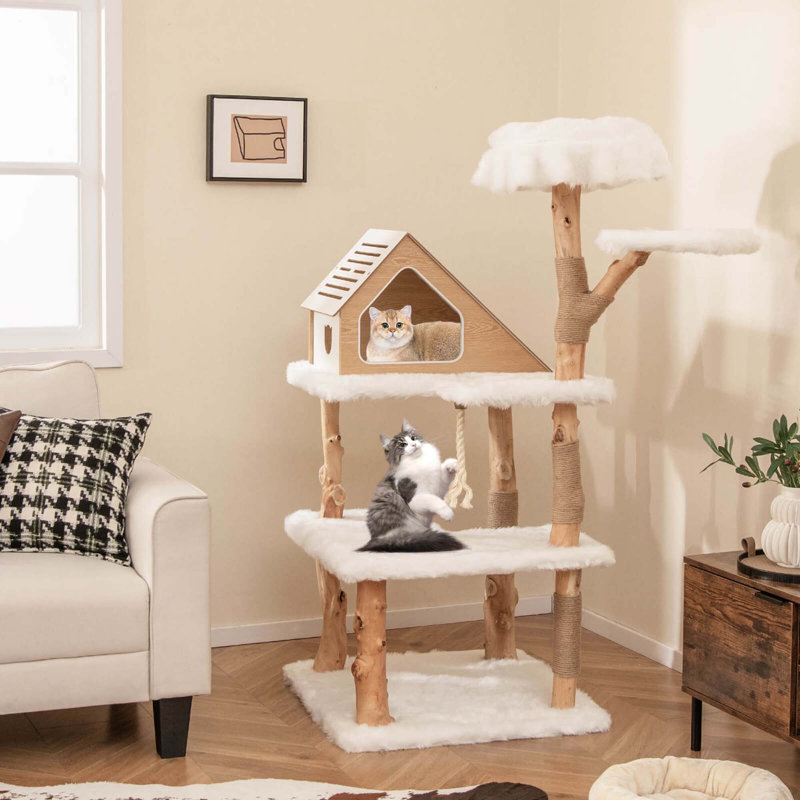 Tucker Murphy Pet™ 60" Tall Solid Wood Cat Tree With 2 Perches Condo ...