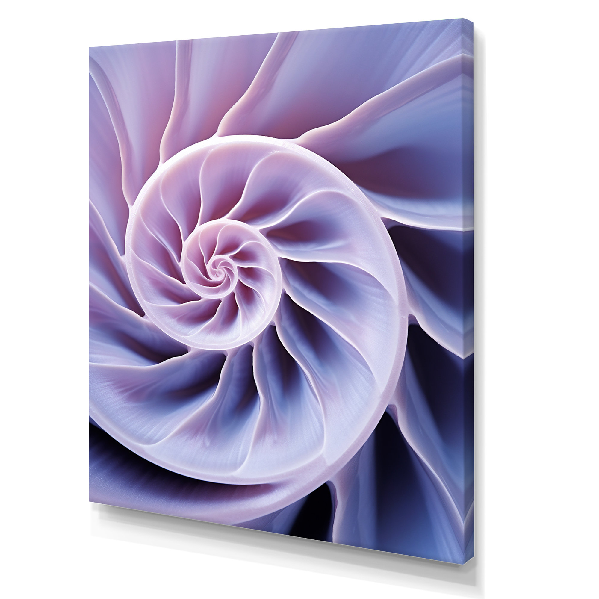 Design Art Lavender Sea Sheel Infinity Sprial On Canvas Print | Wayfair