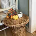 Rosecliff Heights Corwen Chavely Round Water Hyacinth End Table ...