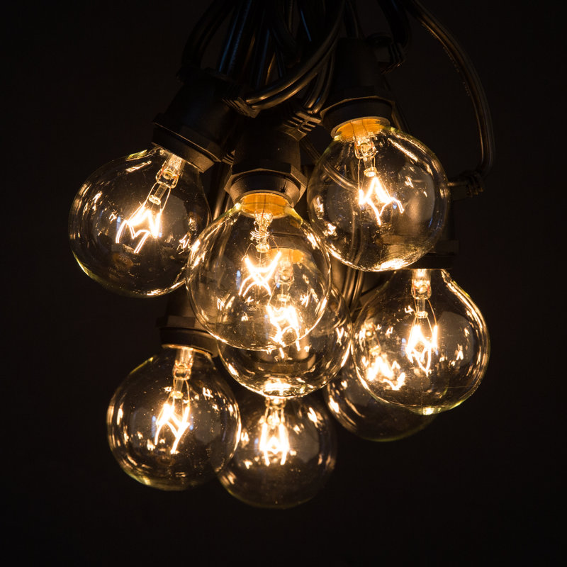 Hometown Evolution, Inc. 50' Outdoor 40 - Bulb Globe String Light ...