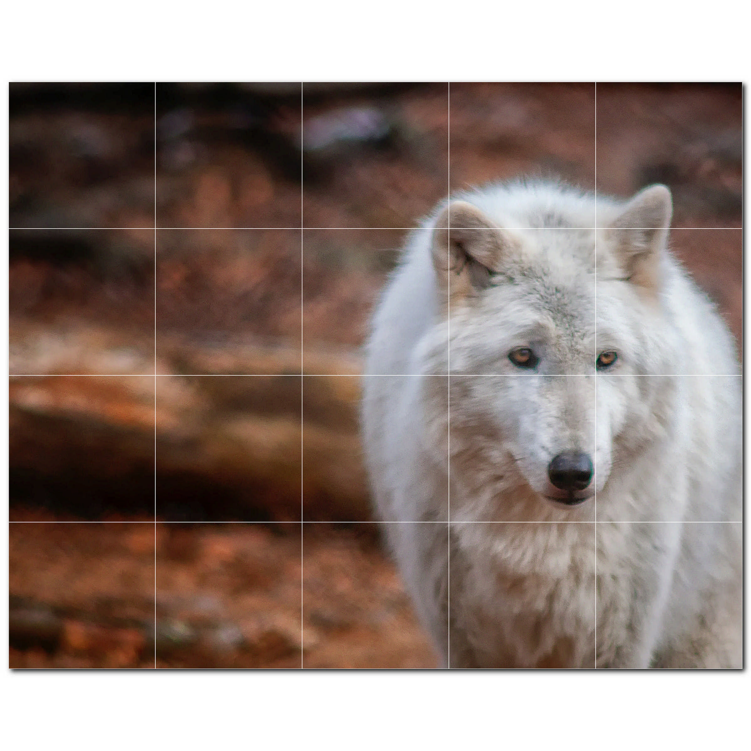 Picture-Tiles.com 60" x 48" Ceramic Wolf Photo Decorative Mural Tile ...