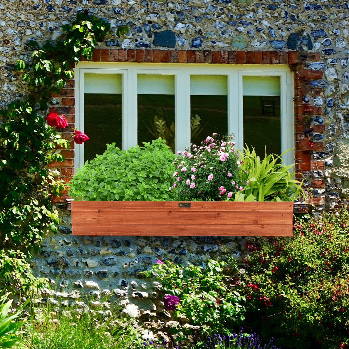 Winston Porter Beckette Fir Planter Box & Reviews | Wayfair