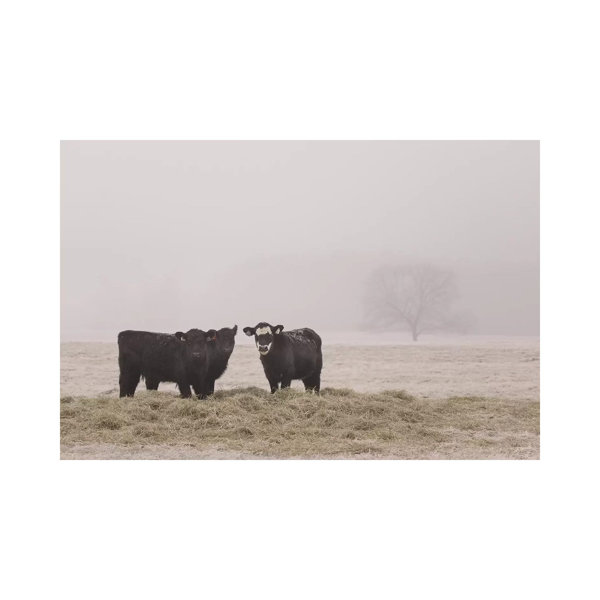 Brambly Cottage Farm Study V by Adam Mead - Wrapped Canvas Graphic Art ...
