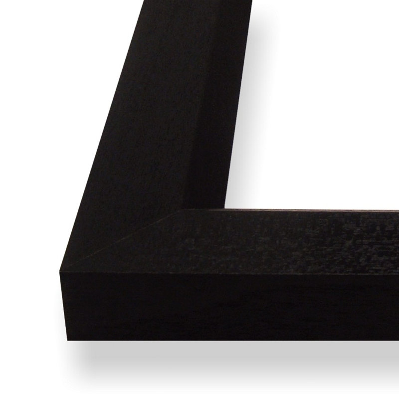 Alcott Hill® Solid Wood Picture Frame & Reviews | Wayfair