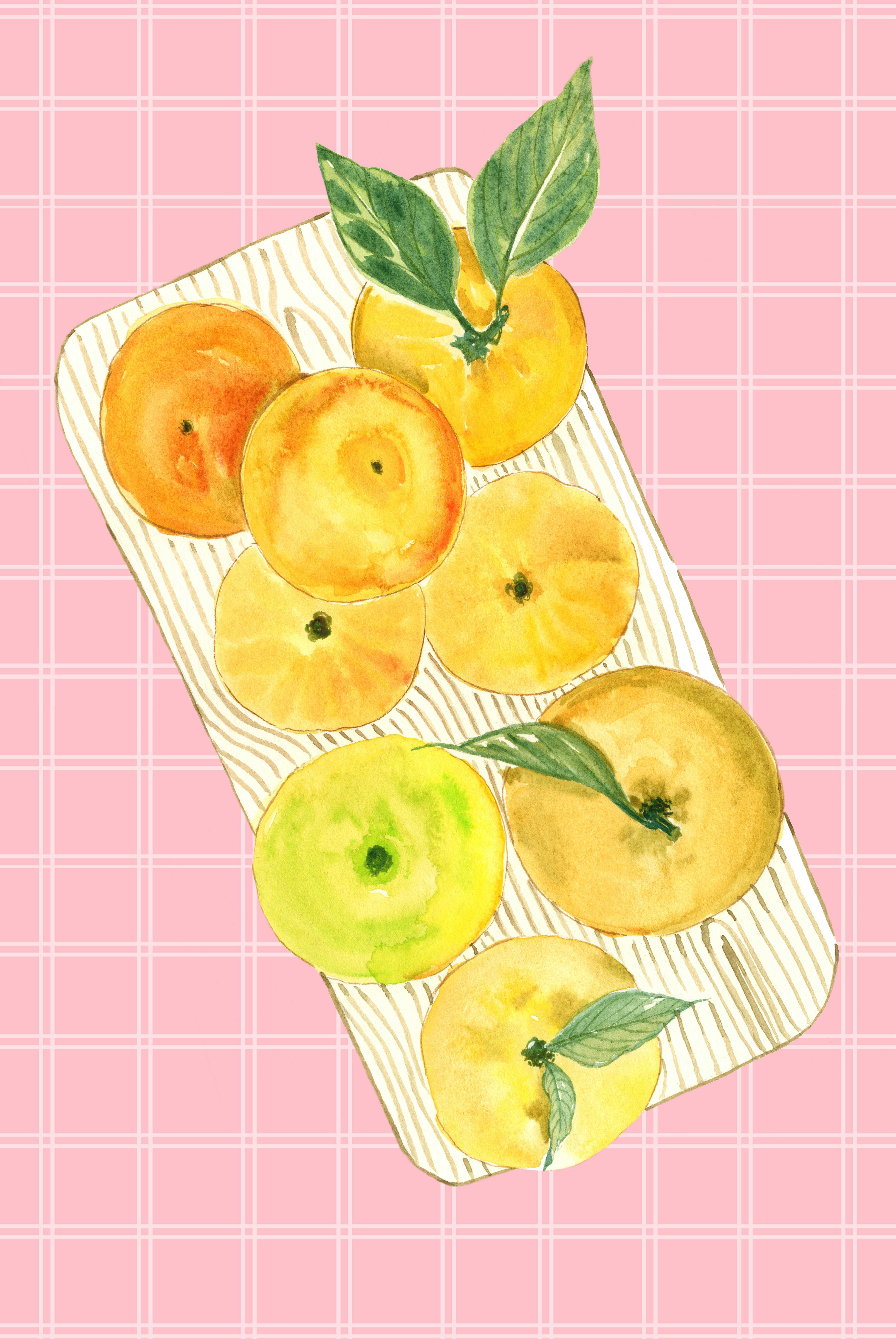 Gracie Oaks Watercolor Citrus Board On Pink - Wayfair Canada
