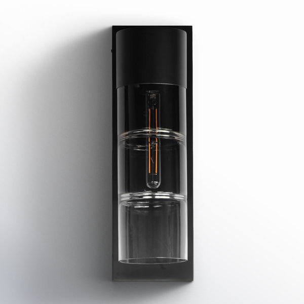 AllModern Capi Steel Wall Light | Wayfair