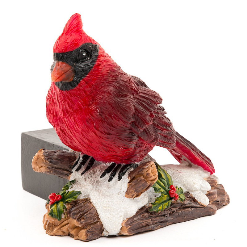 Jardinopia Red Cardinal Bird Coloured Planter Feet In Gift Box | Wayfair