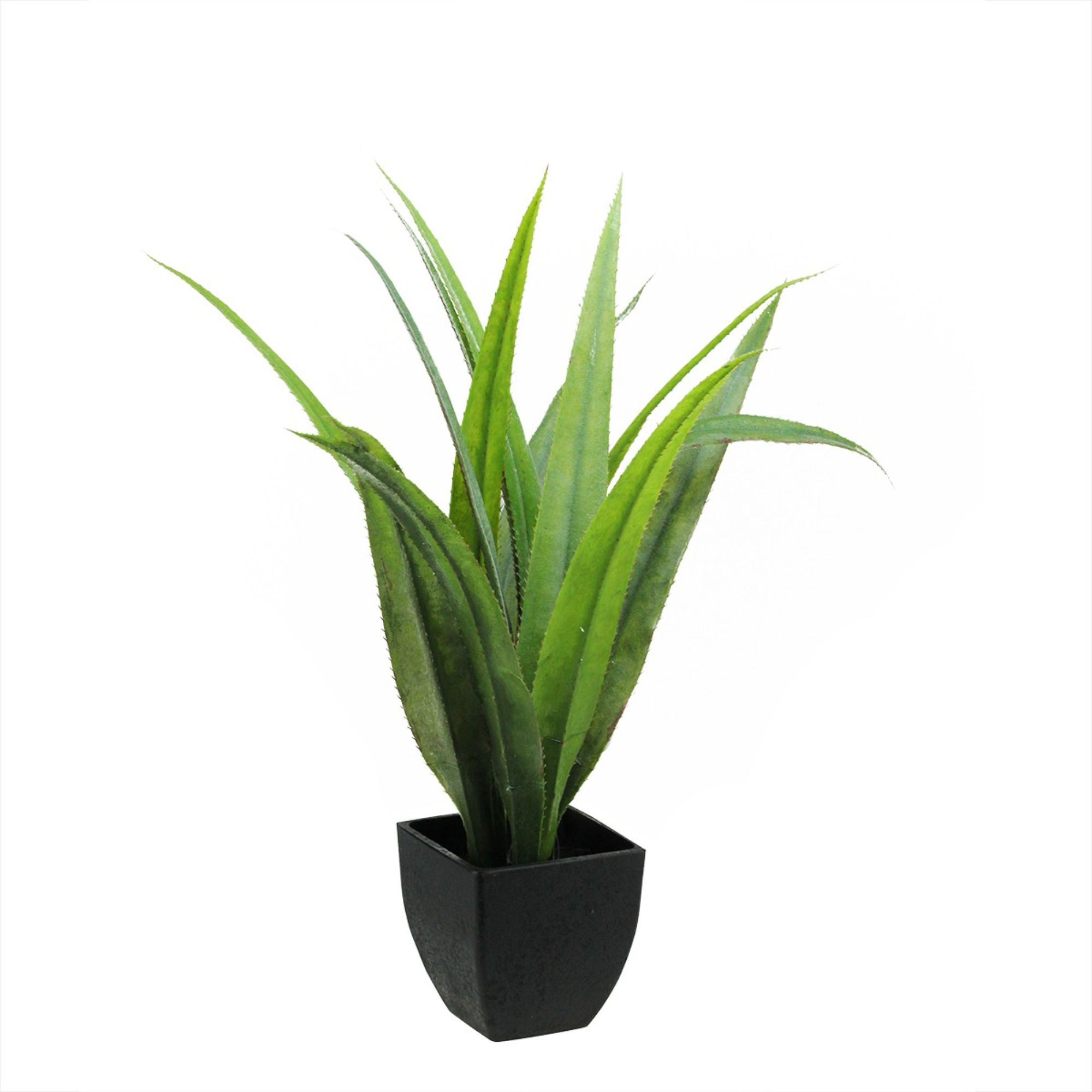 Northlight Seasonal 21.5" Green and Black Potted Artificial Agave ...
