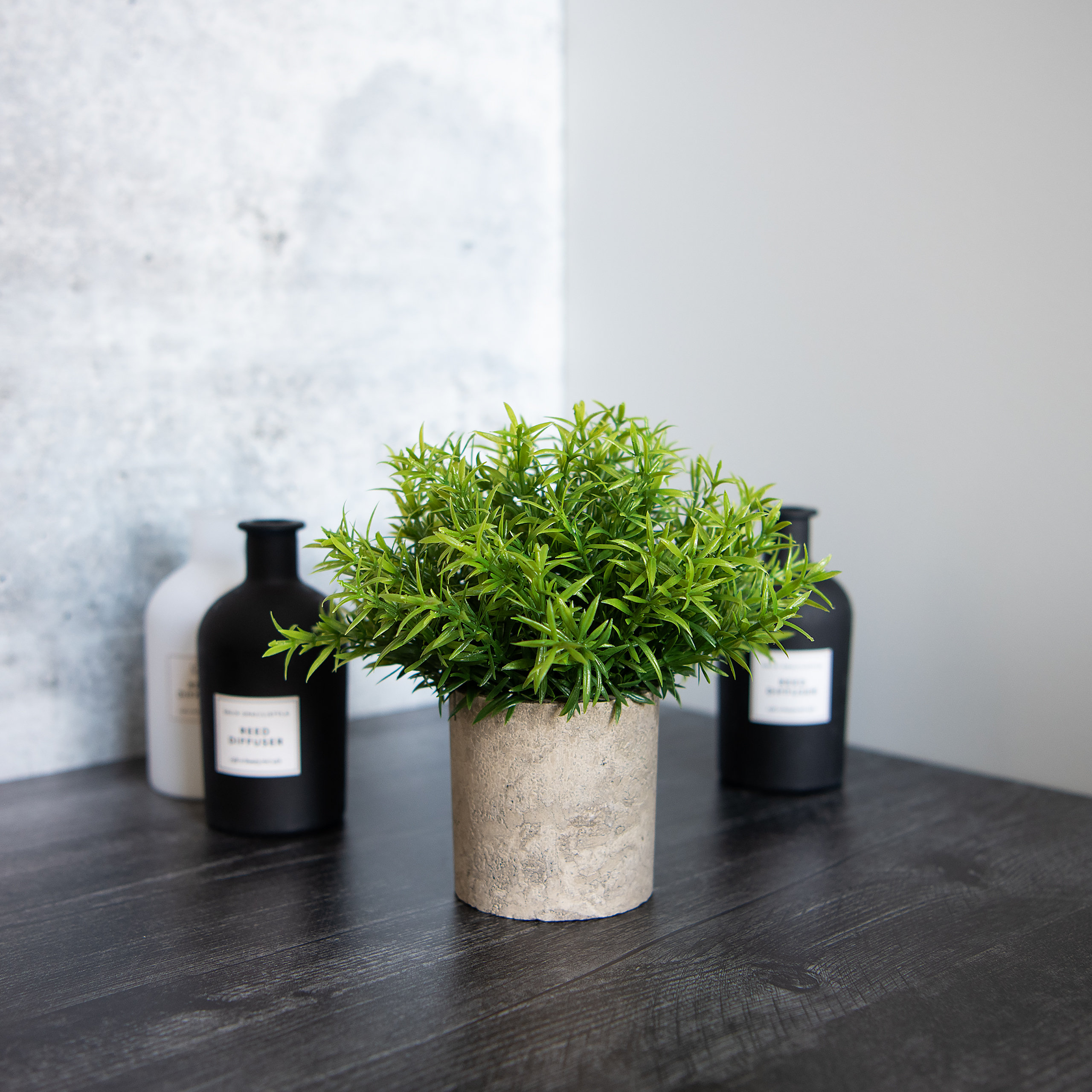 Primrue 7" Artificial Herbs Plant in Pot & Reviews | Wayfair
