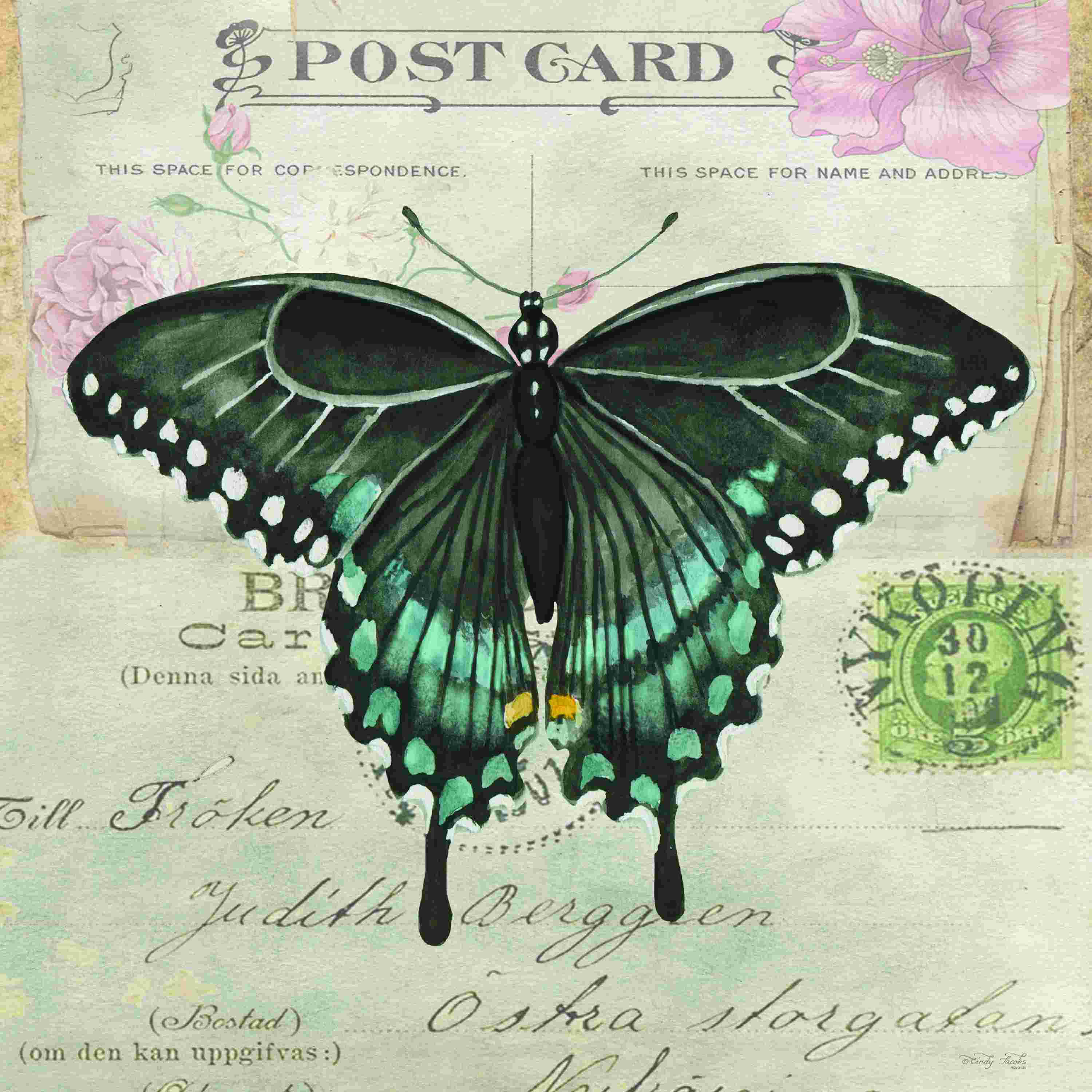 One Allium Way® Postcard Butterfly III 2885814 | Wayfair