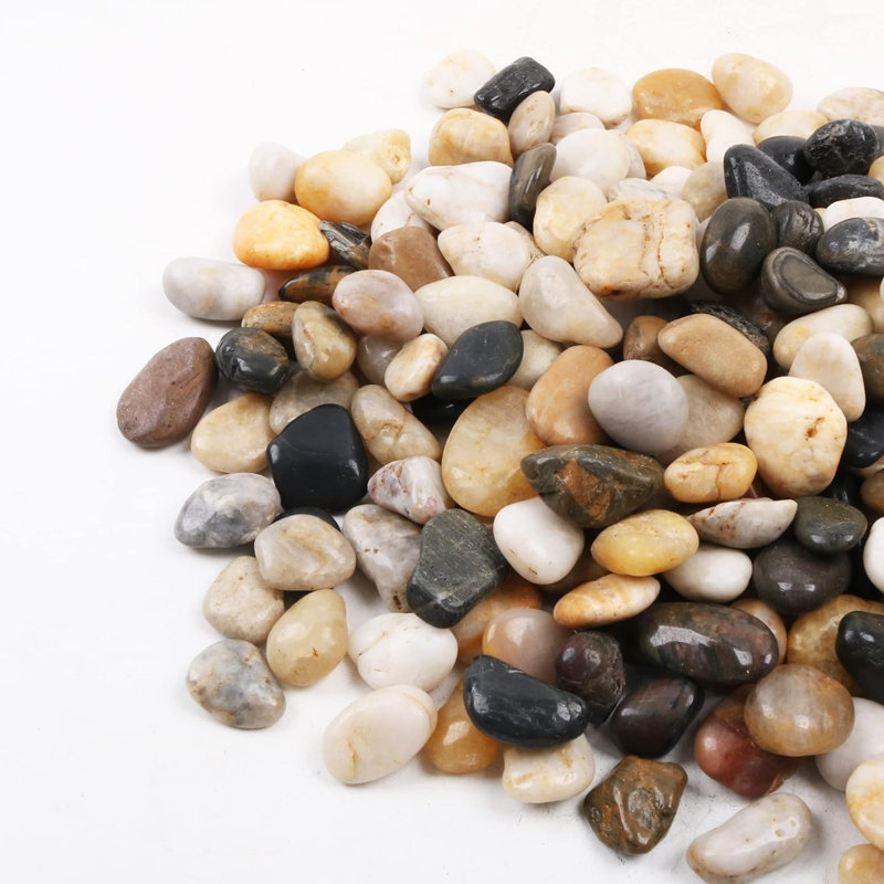 Millwood Pines Daffron Natural Stone Garden Stone | Wayfair
