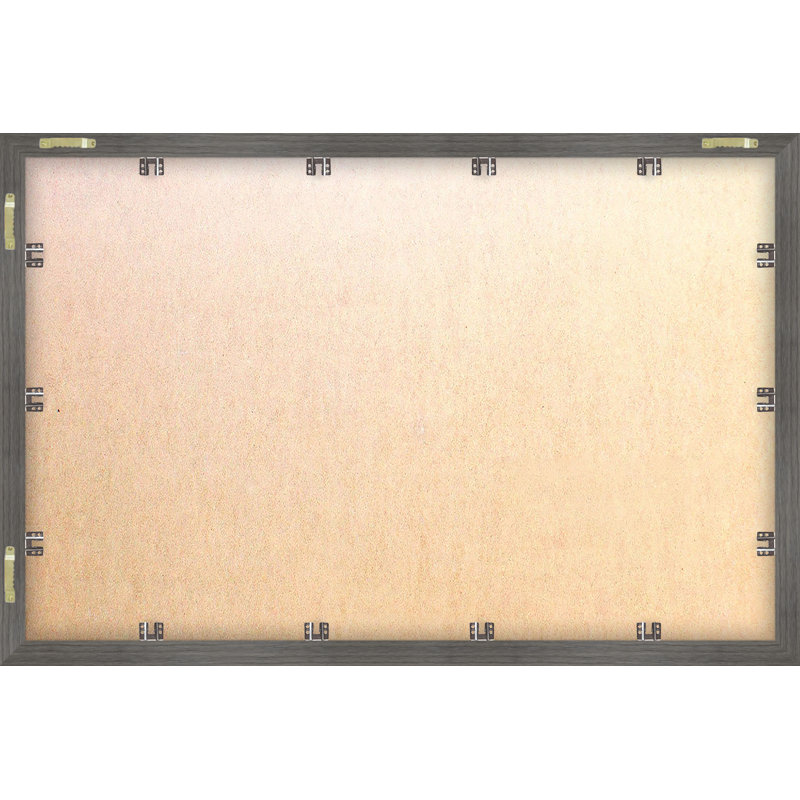 Isabelle & Max™ Brophy 'Dinosaur Skeleton' Framed Print | Wayfair