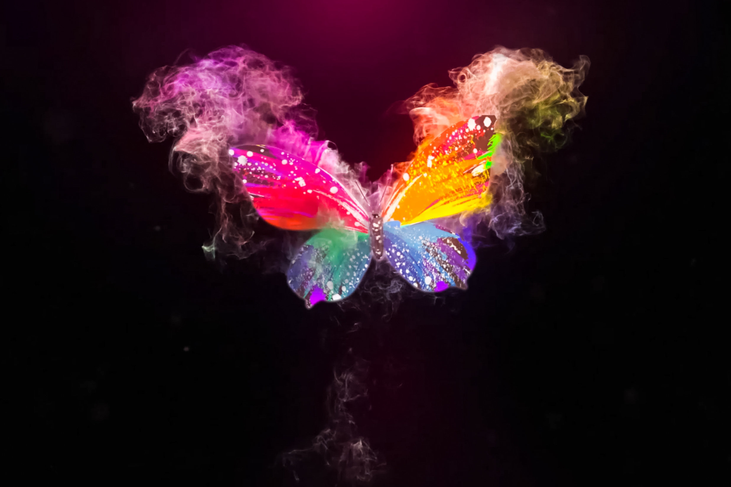Hokku Designs Deshawna Multi Colored Butterfly On Canvas Graphic Art ...