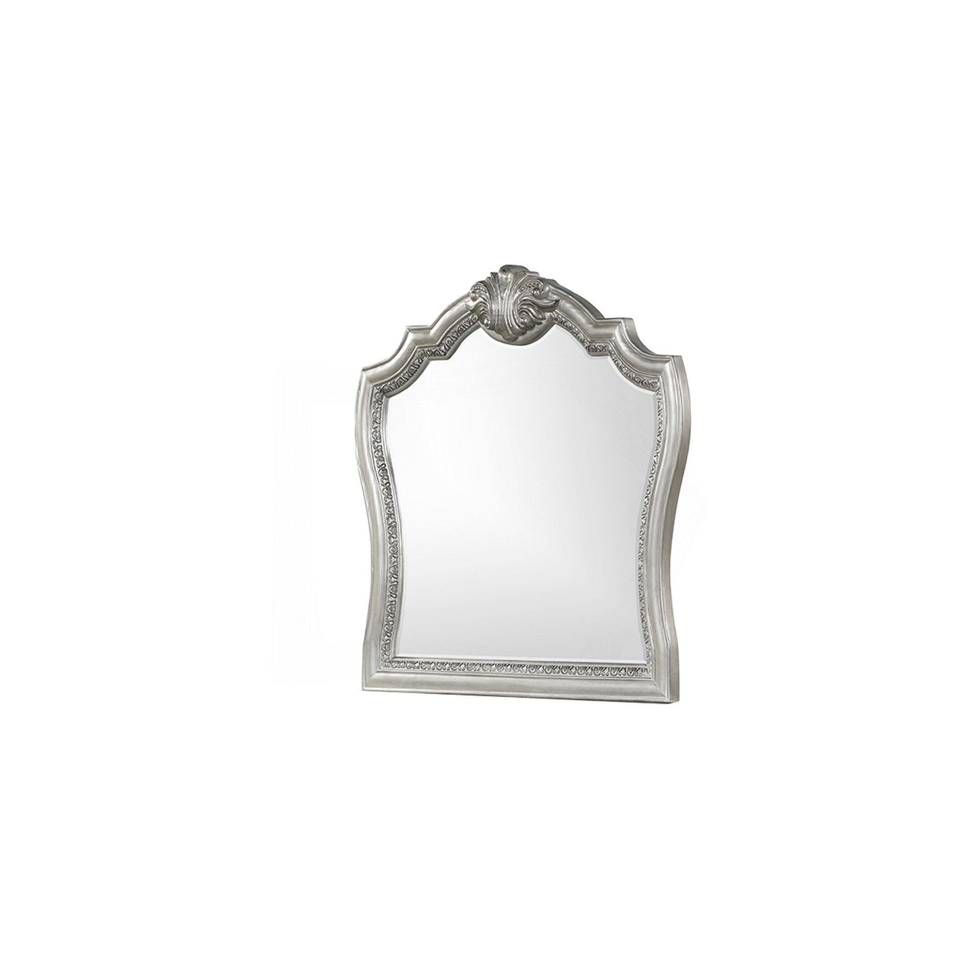 House of Hampton Traditional Style Mirror With Wood Frame In Silver, A ...