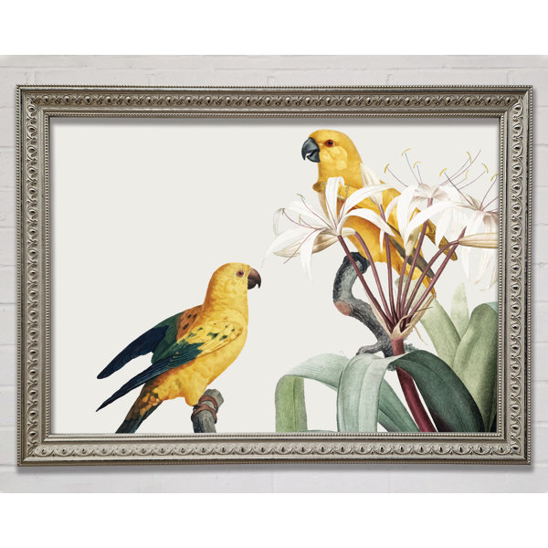 Bright Star Two Yellow Parrots - Single Picture Frame Print | Wayfair.co.uk