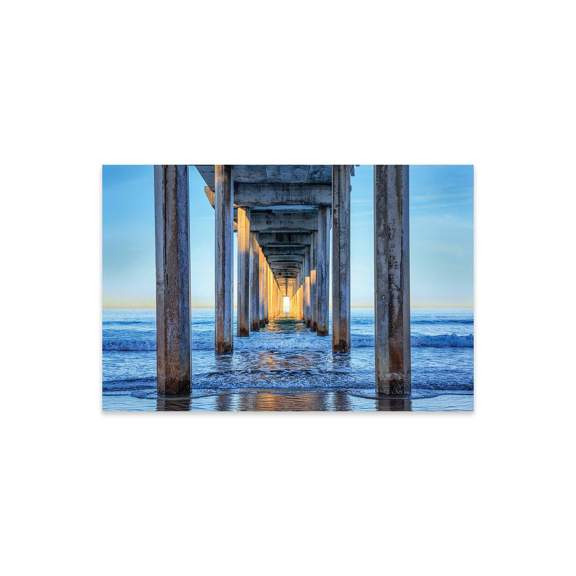 Dovecove Ciro Caught The Sun At Scripps Pier On Plastic/Acrylic by ...