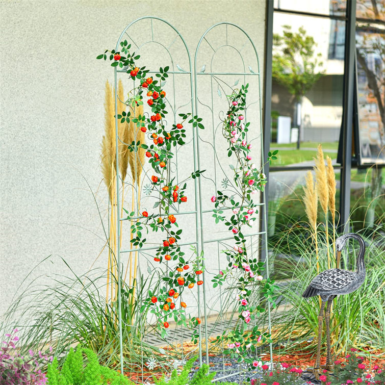 Rosalind Wheeler Chinonye 210cm H x 51cm W Metal Arched Trellis ...