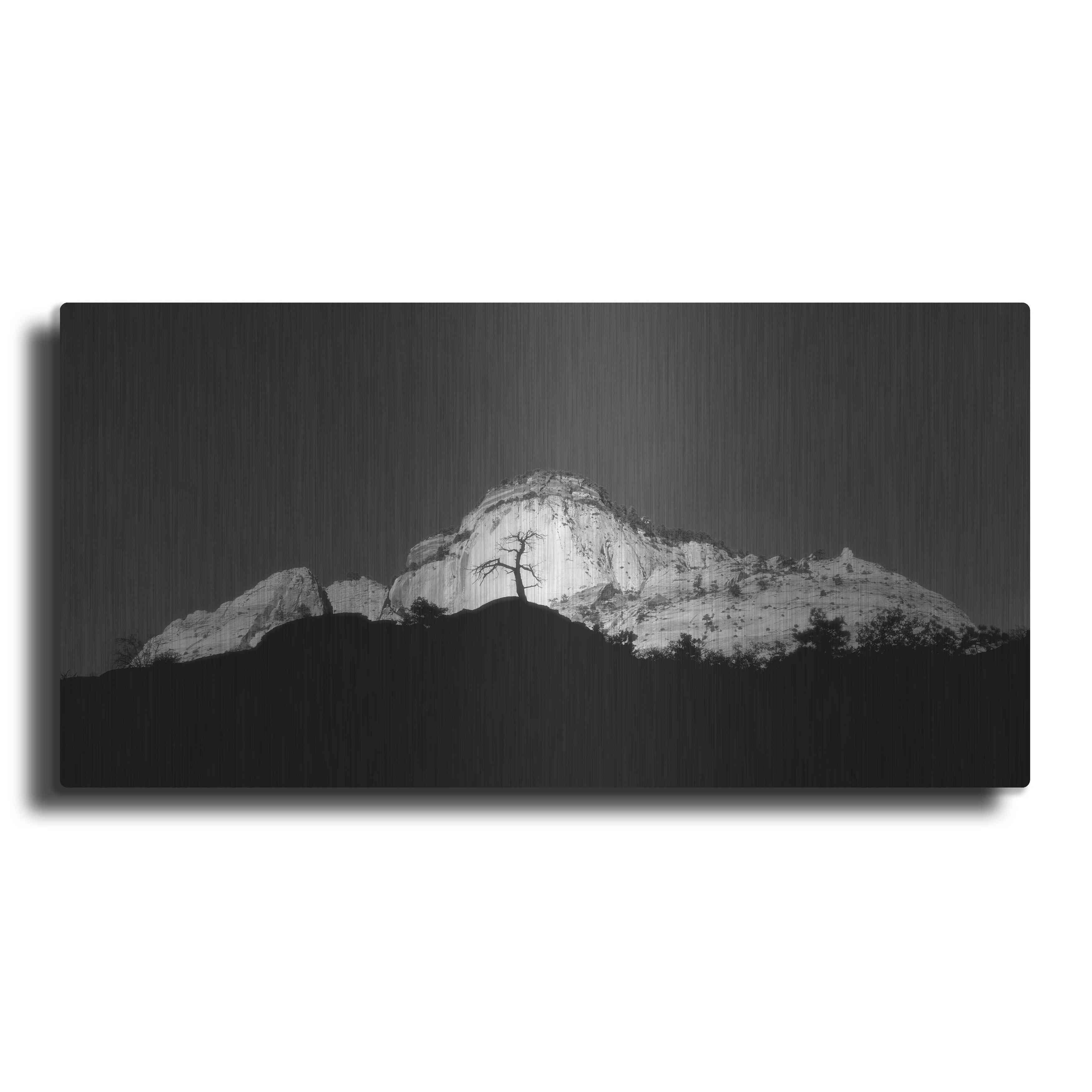 Loon Peak® 'Zion Tree Silhouette' By Thomas Haney, Metal Wall Art ...