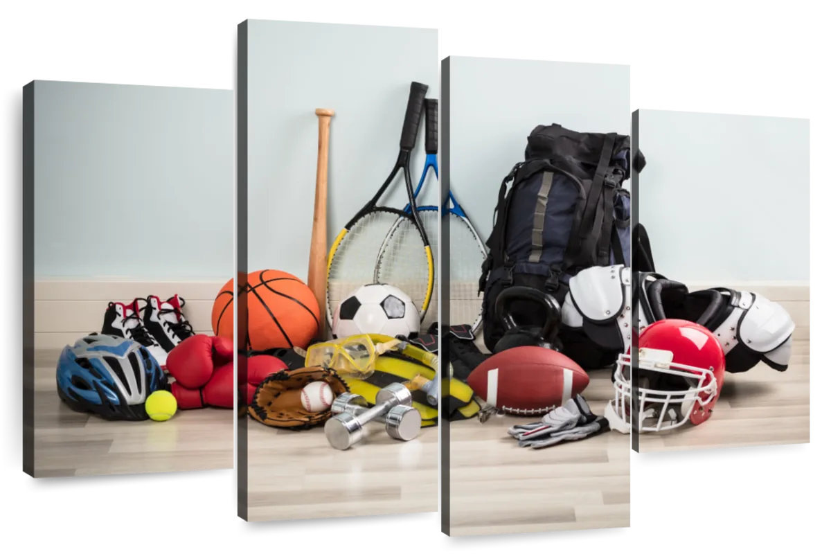 Elephant Stock Assorted Sports Gear - Wayfair Canada