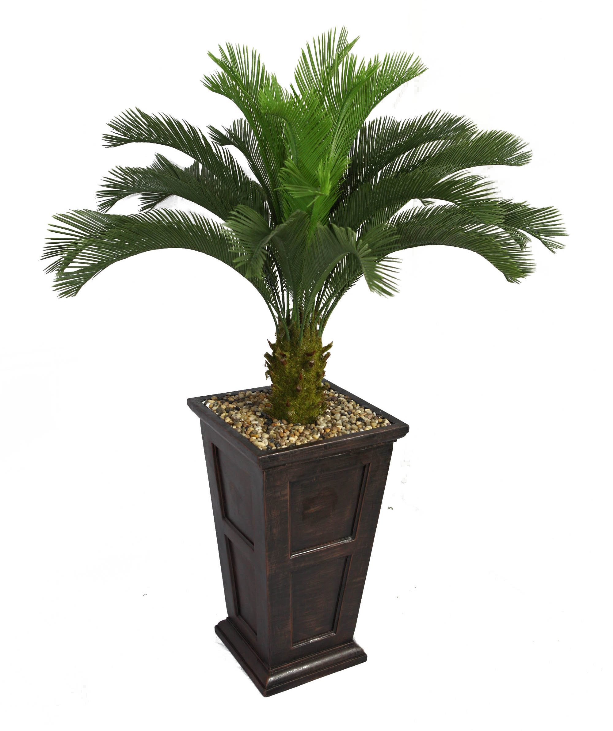 Laura Ashley Panama Tall Cycas Palm Tree in Planter & Reviews | Wayfair