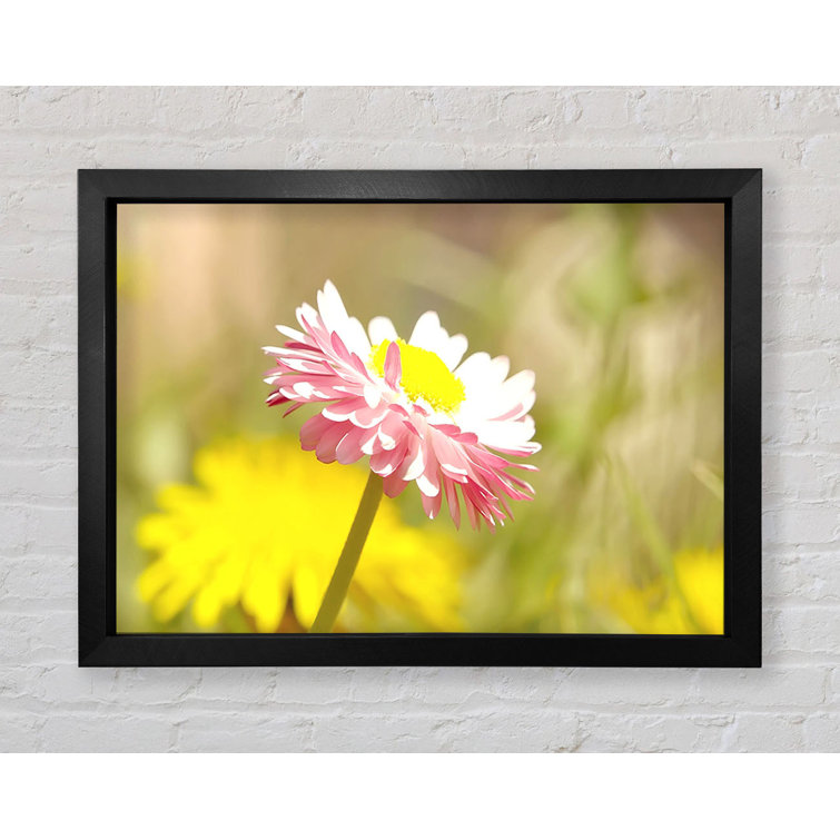 Bright Star Beautiful Summer Pink Flower - Single Picture Frame Art ...