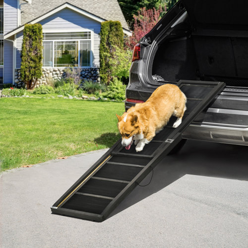 Dog Ramps & Stairs You'll Love - Wayfair Canada