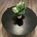 Zipcode Design™ Adelia Cross Legs Coffee Table & Reviews | Wayfair