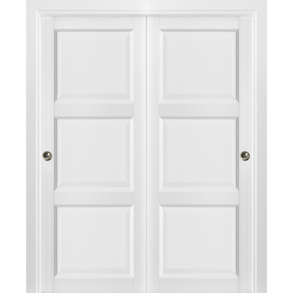 SARTODOORS Lucia Paneled Wood Sliding Closet White Doors & Reviews ...