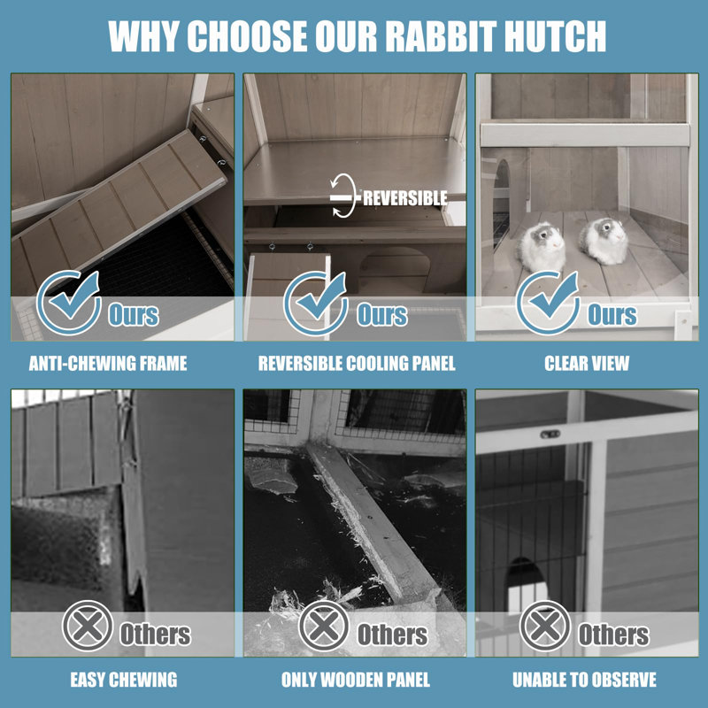 Archie & Oscar™ Bremond Rabbit Hutch With Legs & Reviews | Wayfair