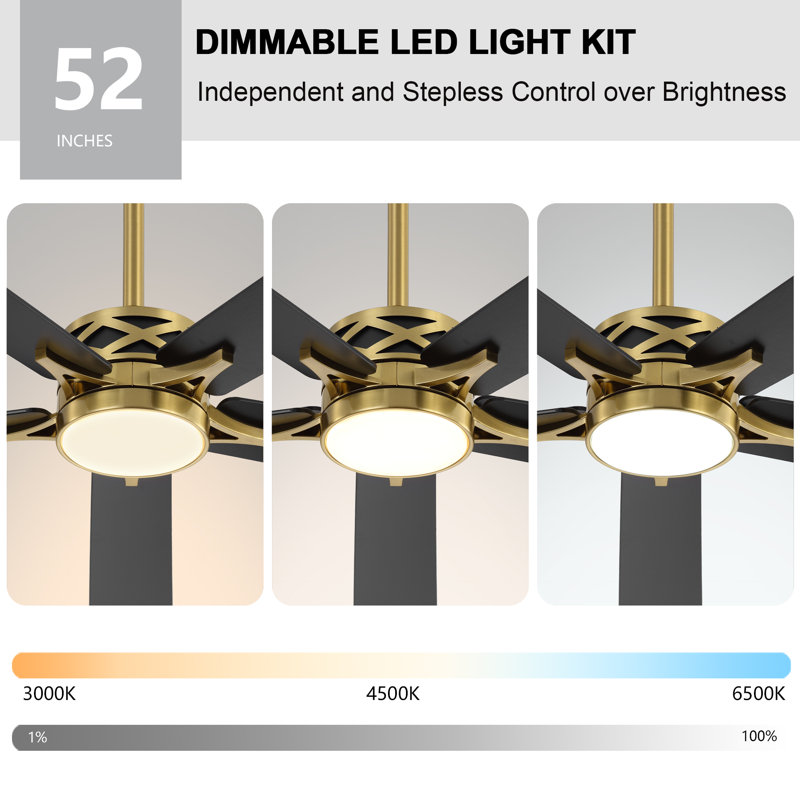 Ebern Designs Portico 5 Blades Indoor Ceiling Fan with Light Kit and ...