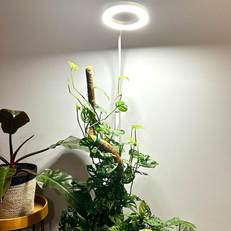 Kiflic Grow Lights for Indoor Plants, 20W Full Spectrum LED Grow Light ...