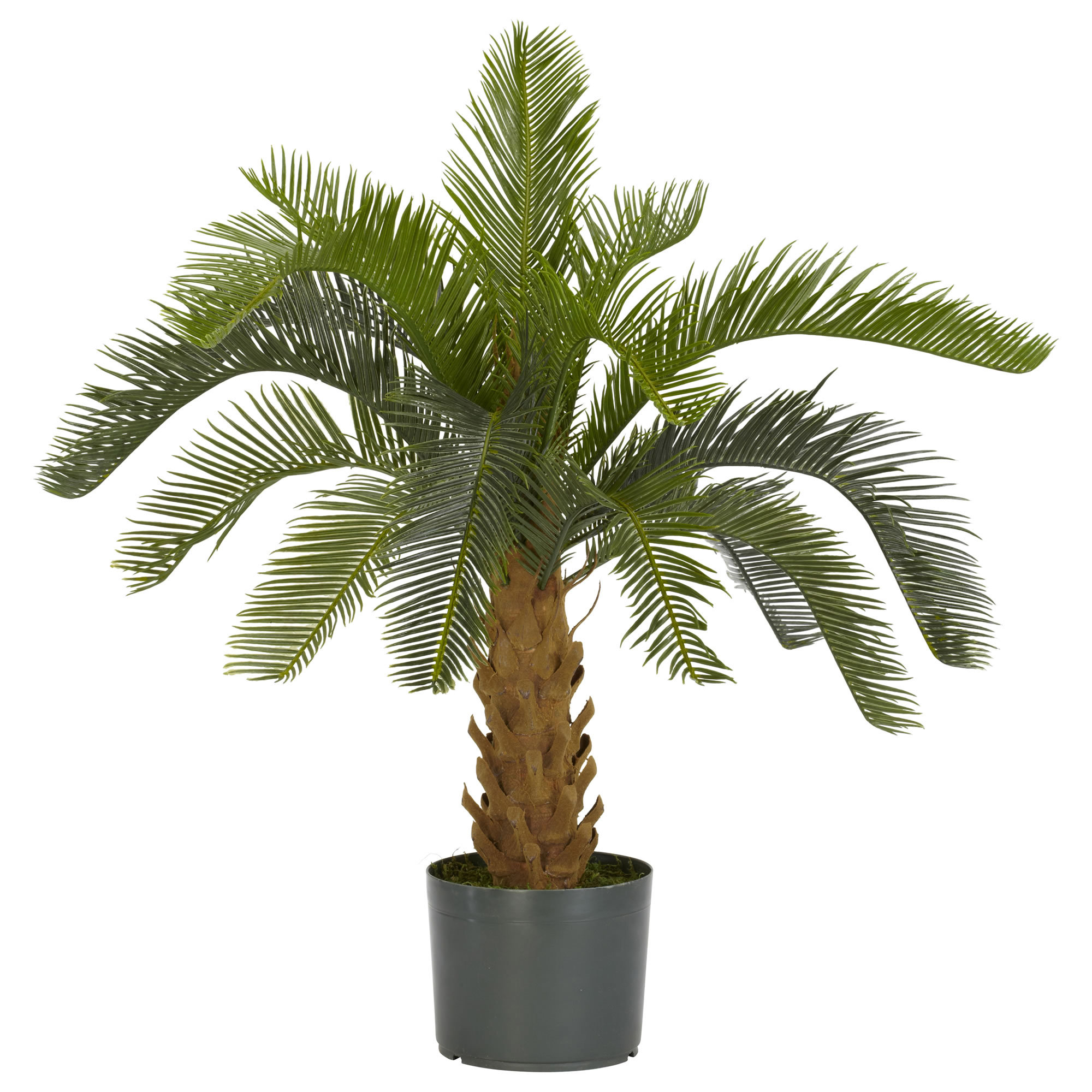 Primrue 28" Artificial Palm Tree in Pot & Reviews | Wayfair