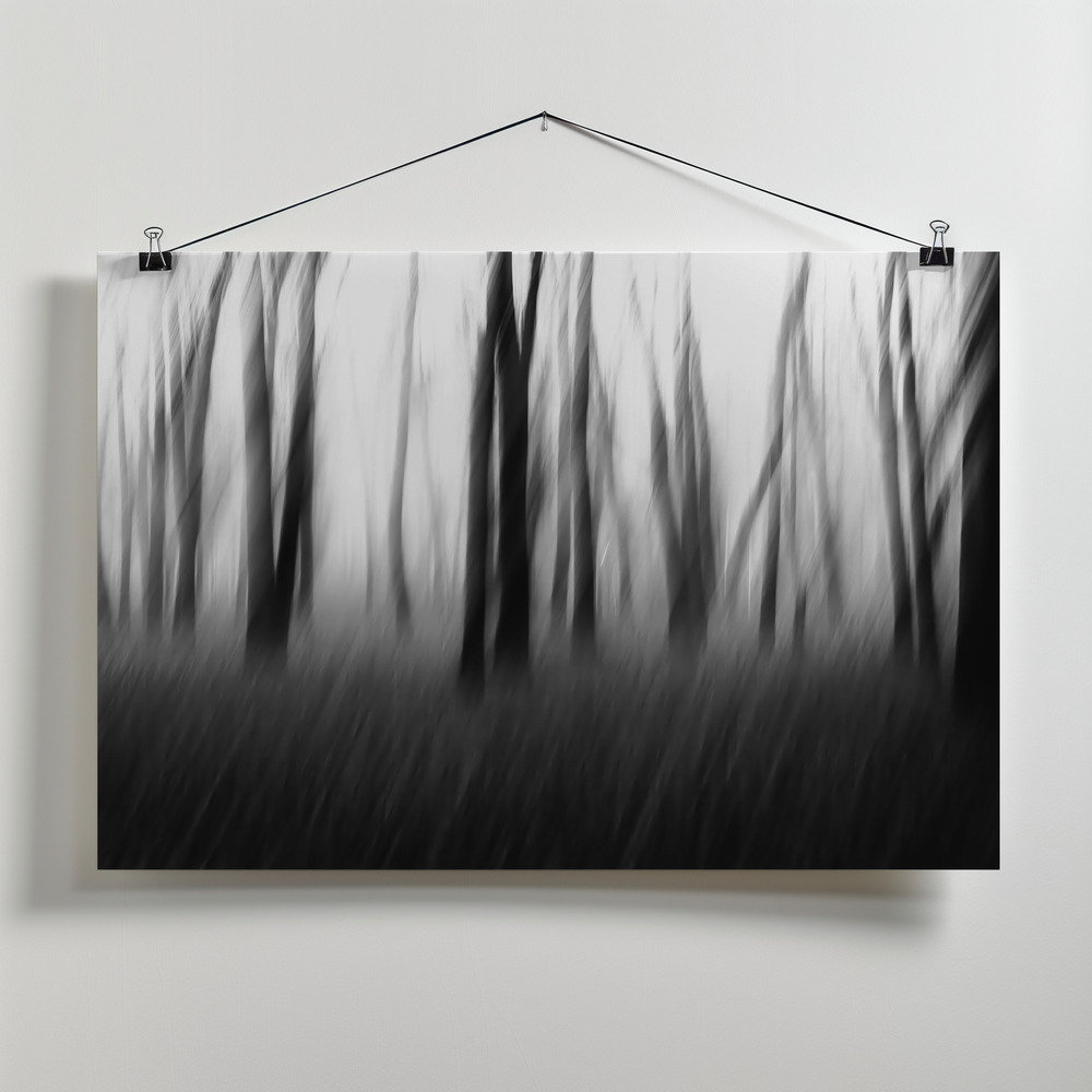 Ivy Bronx Dancing trees in the fog | Wayfair.co.uk
