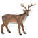 Design Toscano Big Rack Buck Deer Statue & Reviews | Wayfair