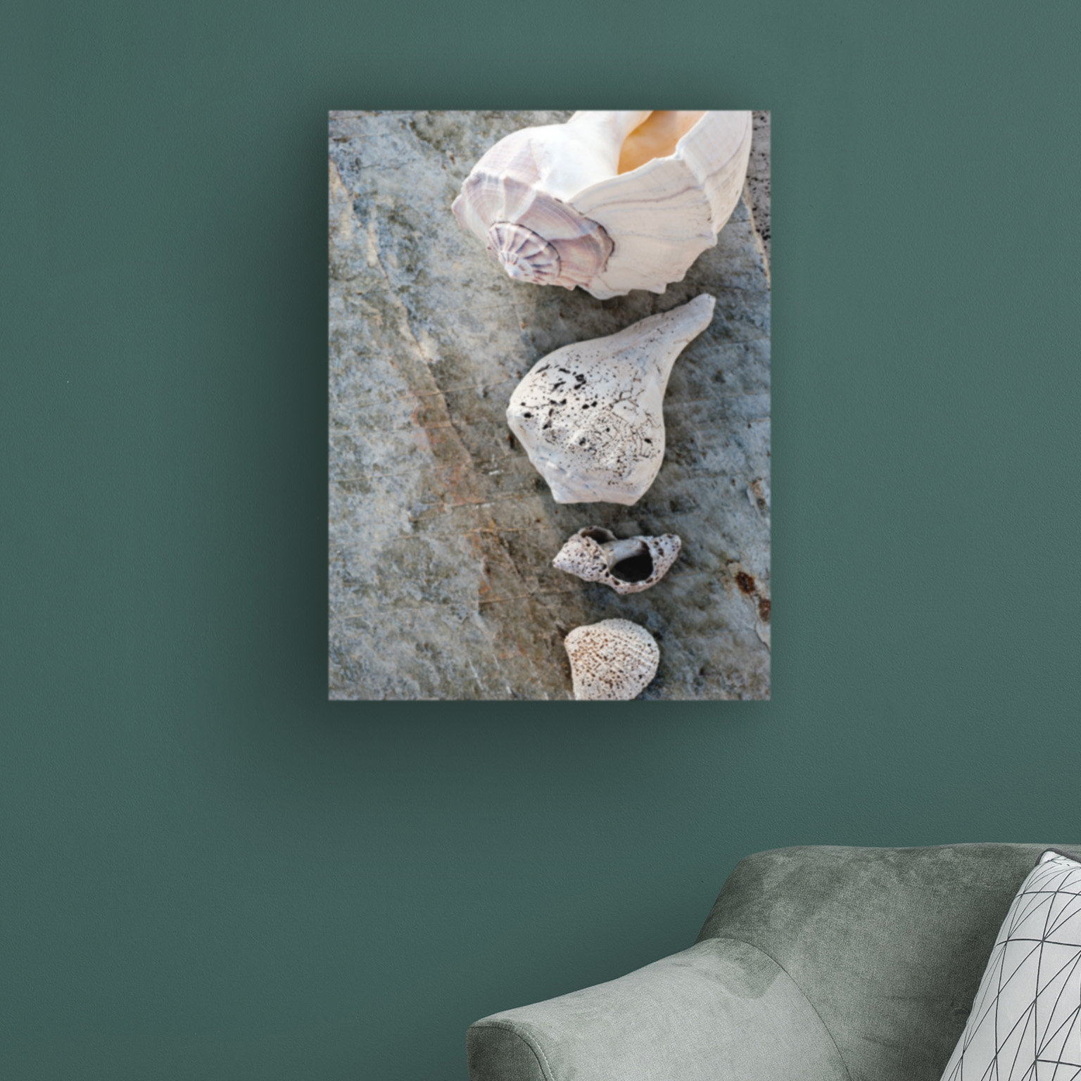 Highland Dunes Elena Ray 'Gifts Of The Shore IX' Canvas Art - Wayfair ...