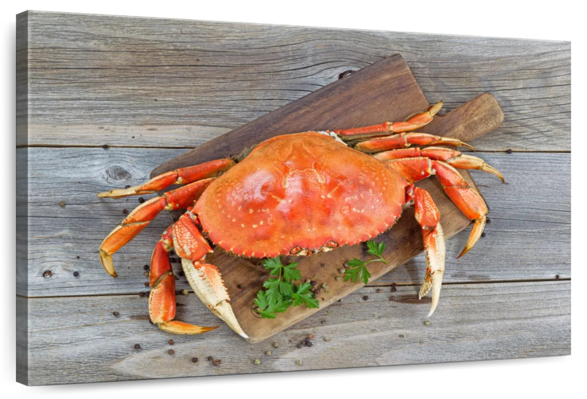 Ebern Designs Cooked Dungeness Crab - Wayfair Canada