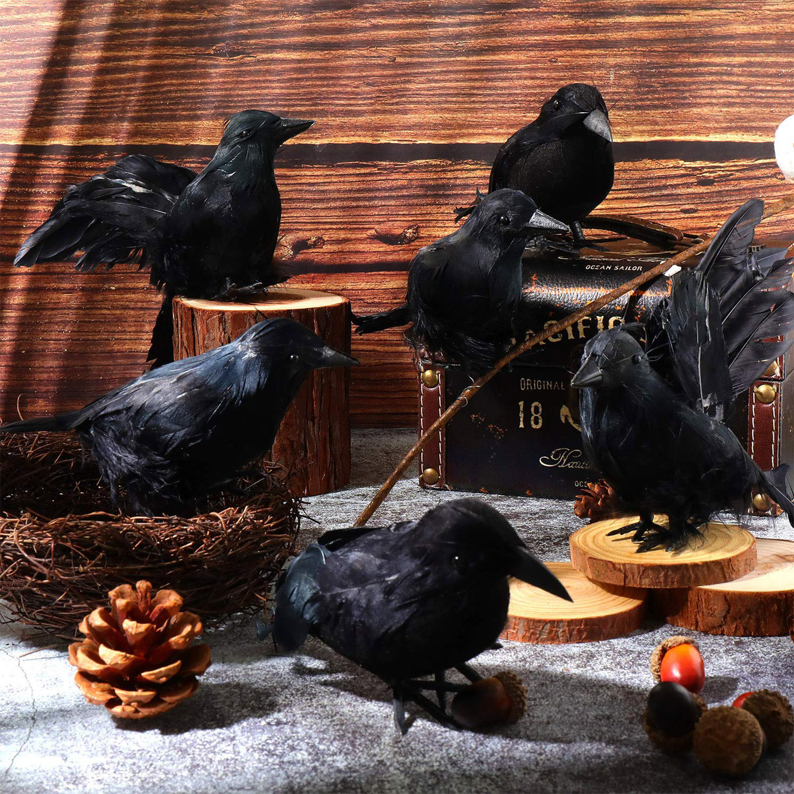 The Holiday Aisle® 6 Pcs Realistic Black Crow Halloween Ornaments ...