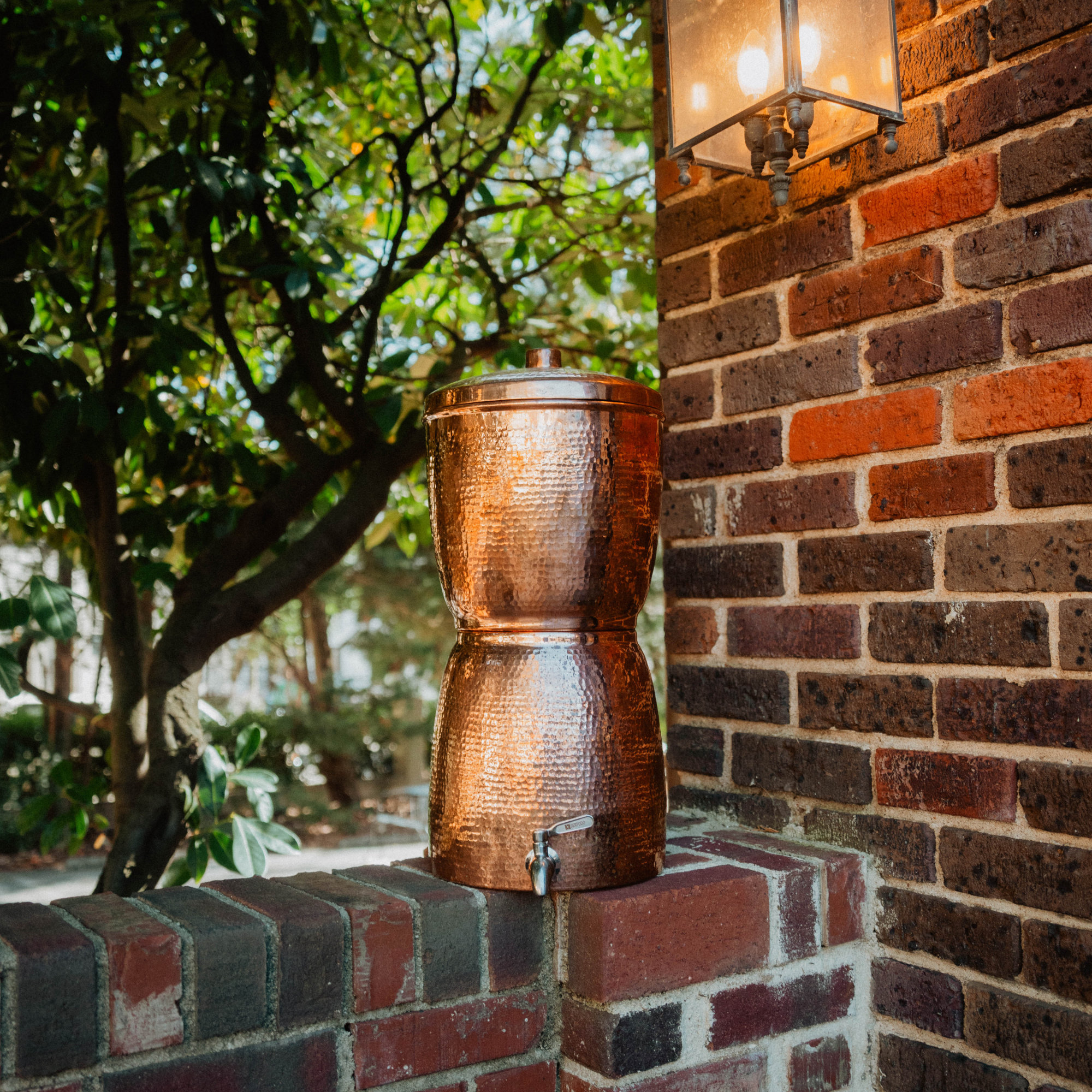 Sertodo Copper Sana Vida Fluoride Water Filtration Systems | Wayfair