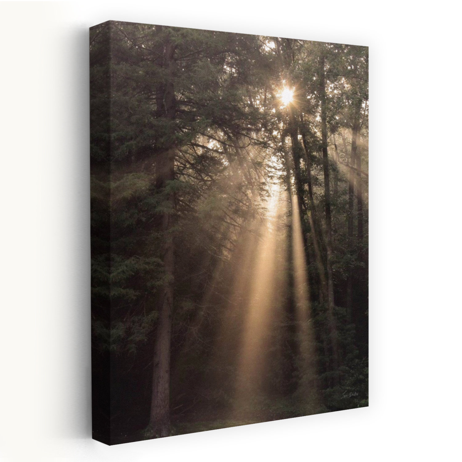 Ophelia & Co. Enlighten Your Soul - Contemporary Photography Landscape ...