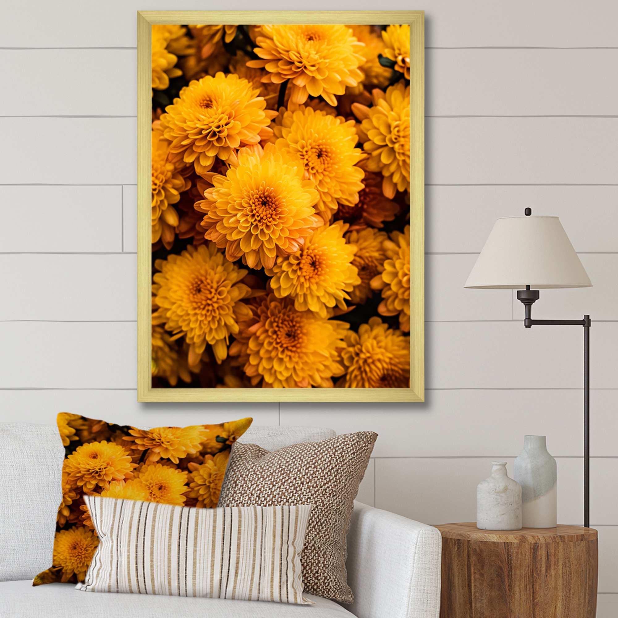 Design Art Yellow Chrysanthemums Field At Sunrise II - Chrysanthemums ...