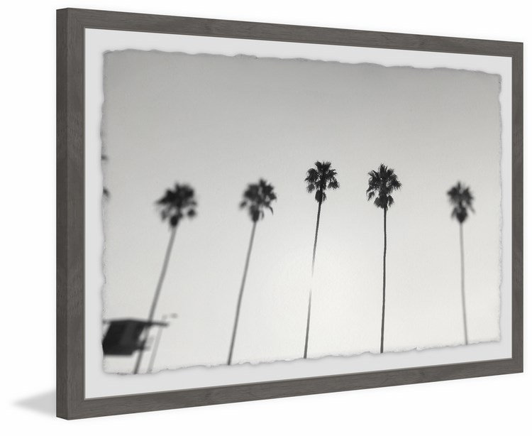 Wrought Studio Tall Palm Trees - Picture Frame Photograph Print ...