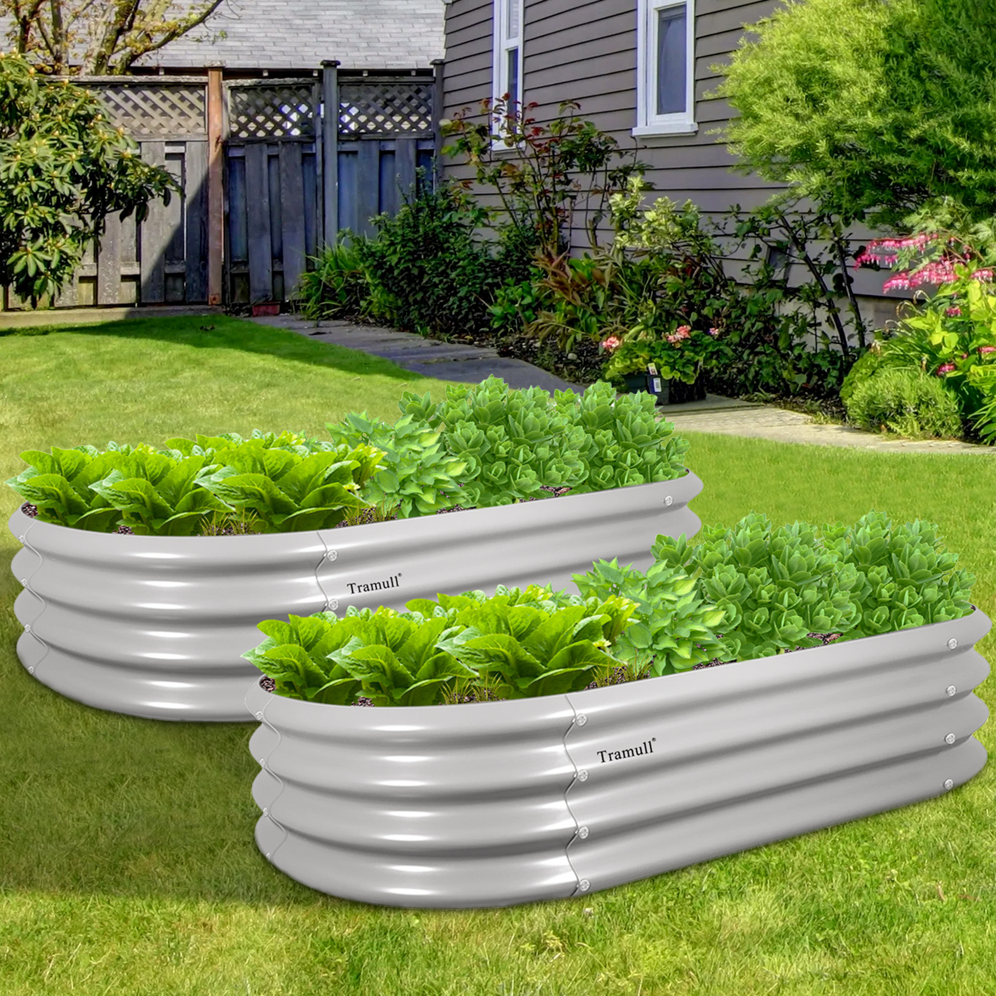 Arlmont & Co. 2-pack Galvanized Raised Garden Bed Kit, 4x1ft Oval Metal ...