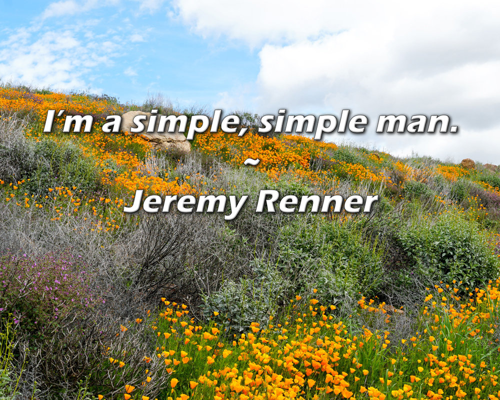 Ophelia & Co. Jeremy Renner Quote: I’m a simple, simple man. - Wayfair ...