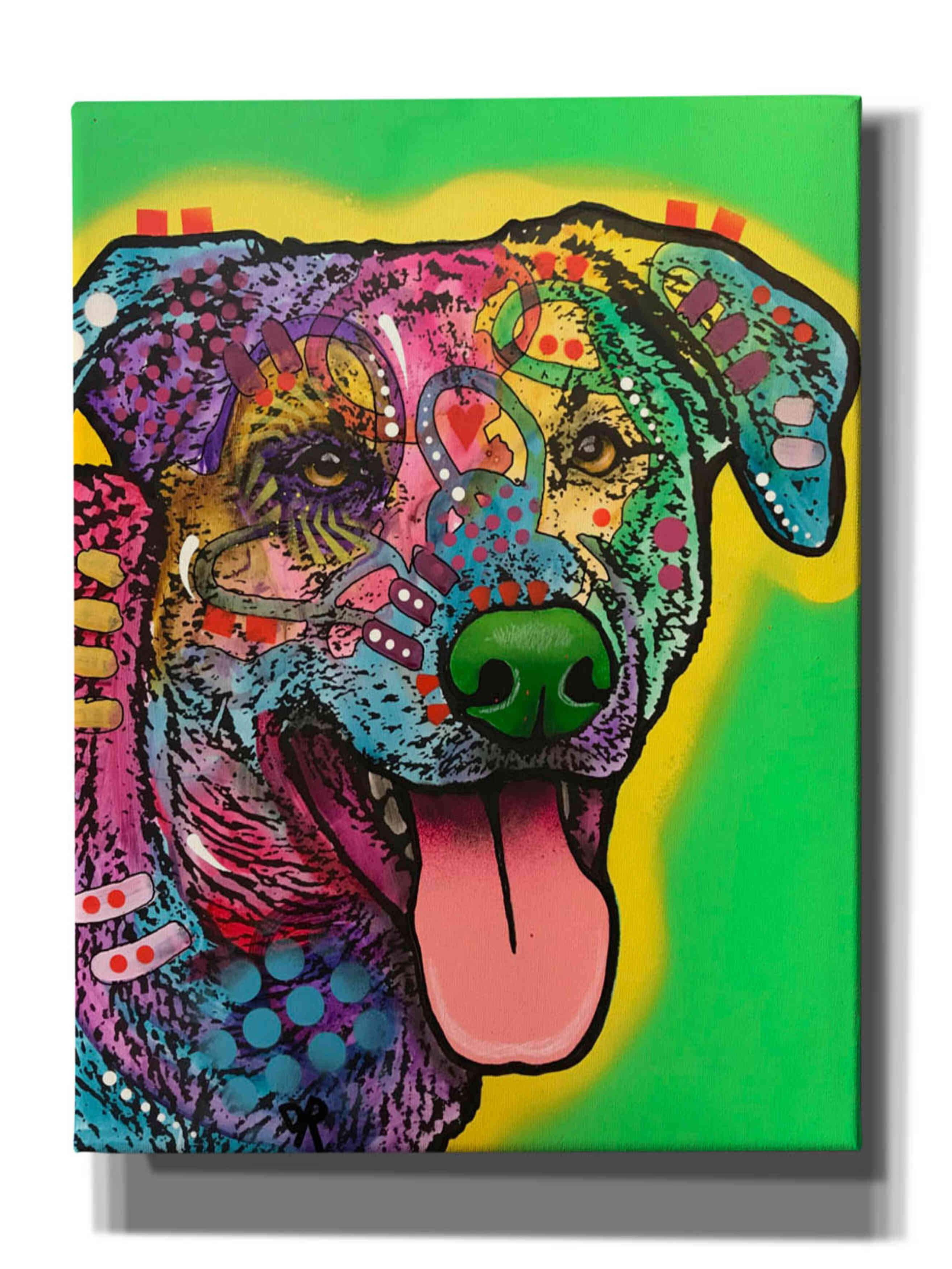 Latitude Run® Hawkeye by Dean Russo - Wrapped Canvas Painting | Wayfair