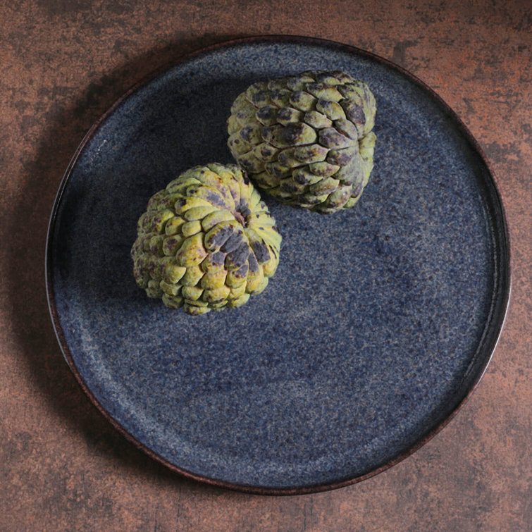 Porto Brasil Titanium 11.42'' Stoneware Dinner Plate - Wayfair Canada