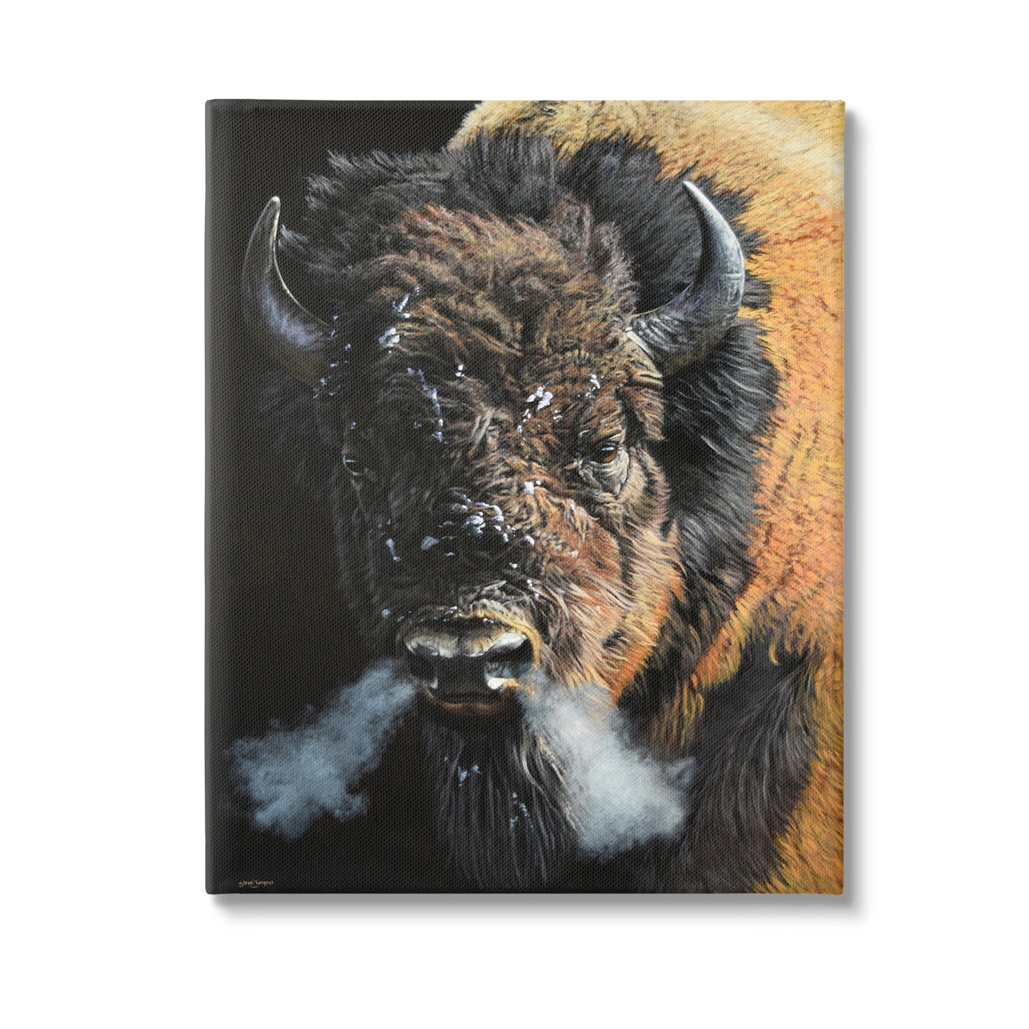 Union Rustic Bison Breathing Steam Canvas Wall Art Design By Steve ...