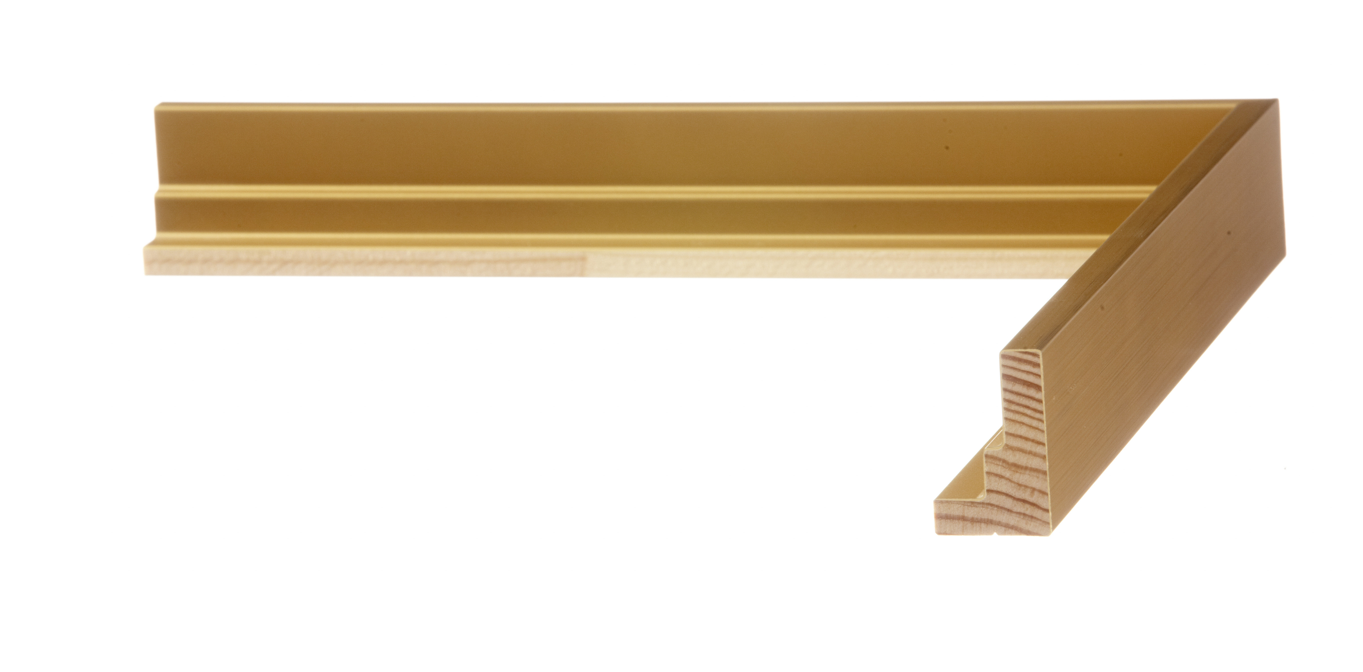 Rosalind Wheeler Fancy Bee by Cat Thurman Designs | Wayfair